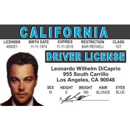 Leonardo DiCaprio Novelty Driver License
