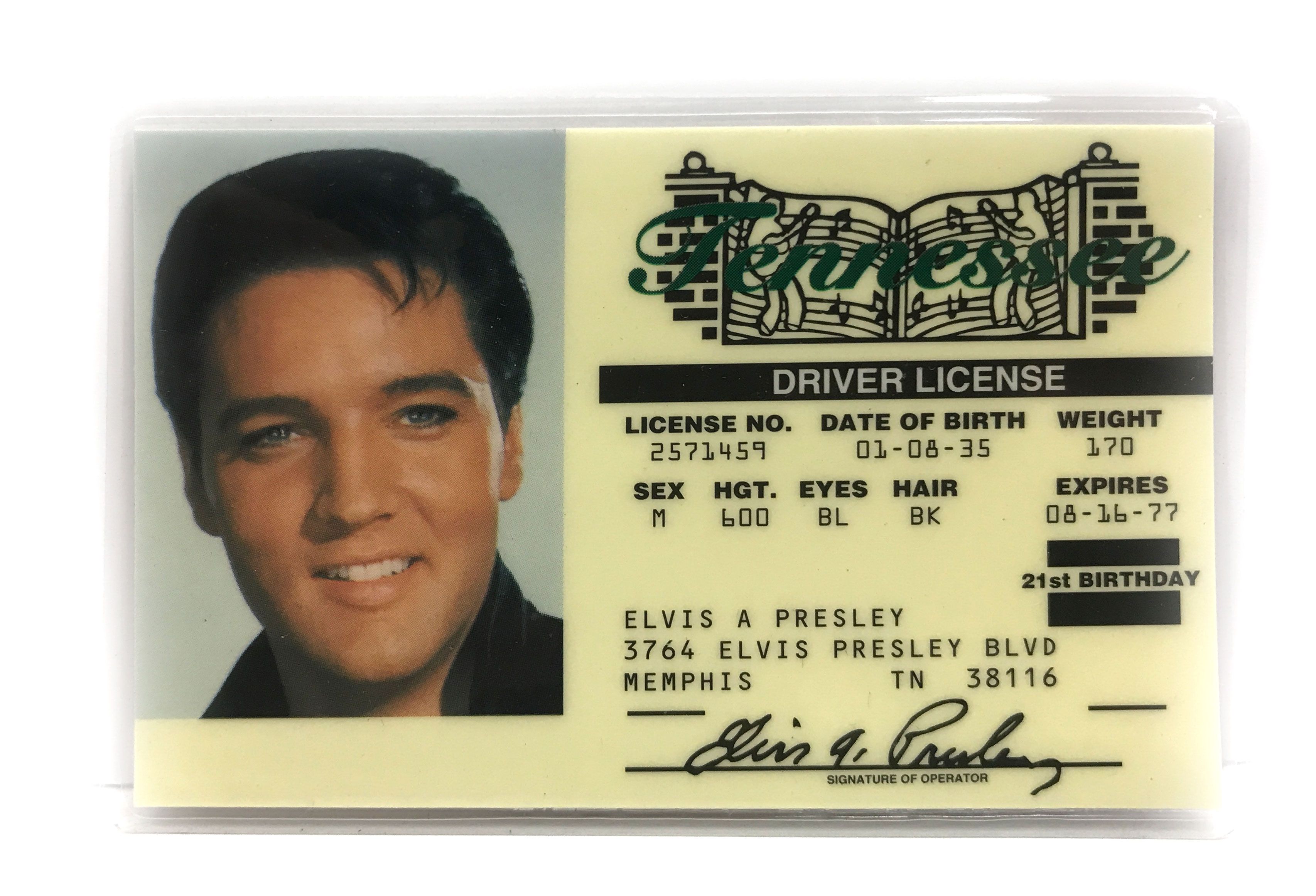 Celebrity Drivers License